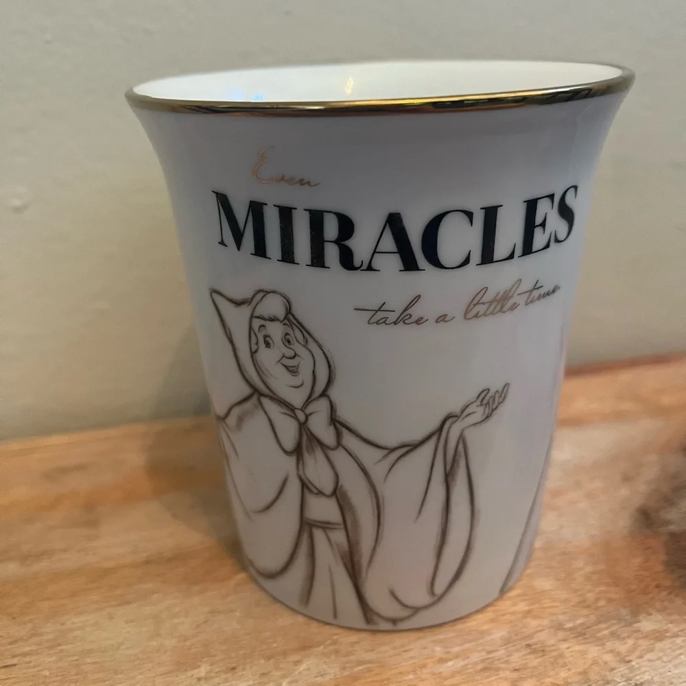 Disney | Dining | Disney Princess Cinderella Even Miracles Take A ...